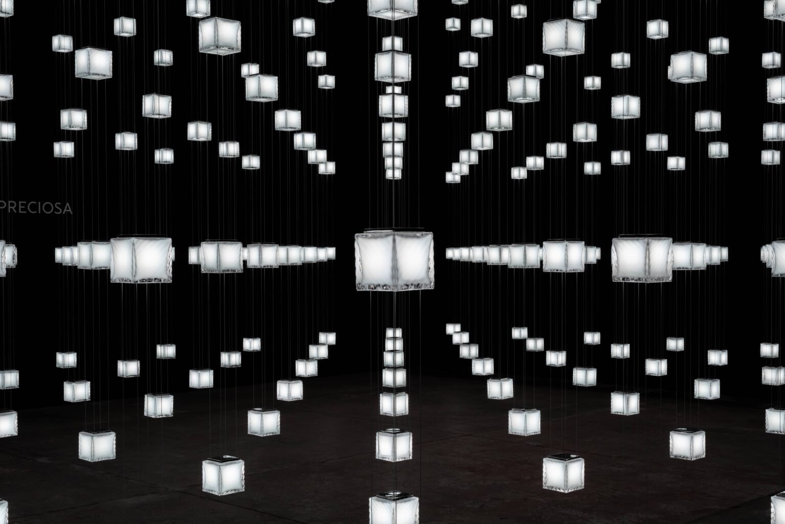 Discover Signal SPACE | Signal Festival
