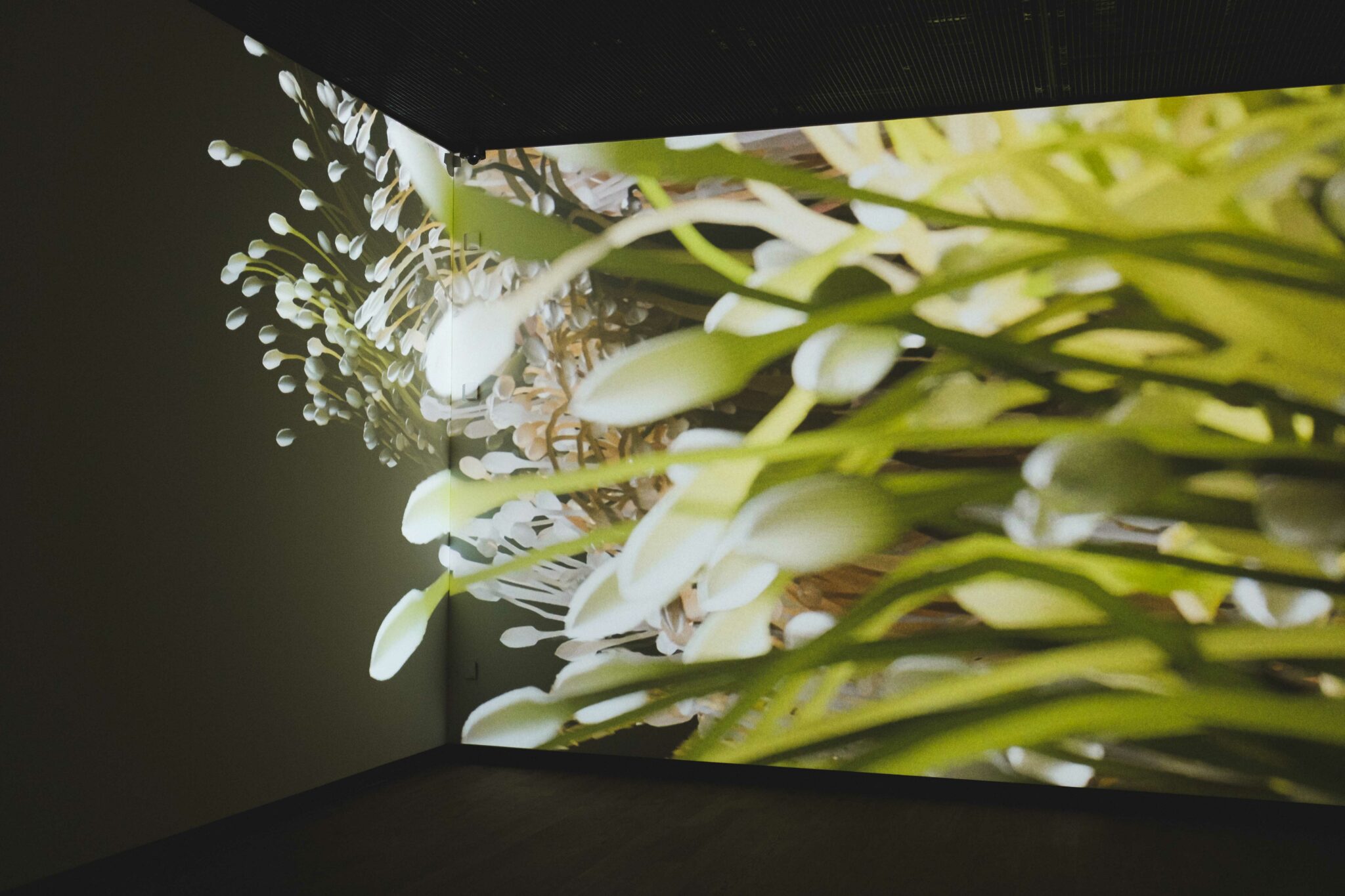 Discover Signal SPACE | Signal Festival