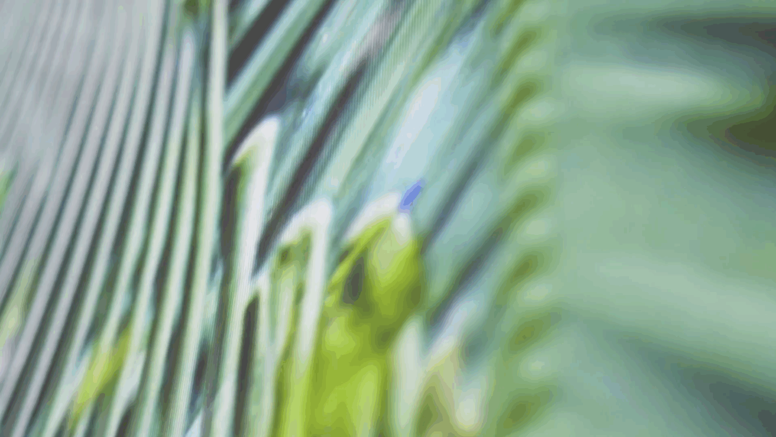 Objevte Signal SPACE | Signal Festival